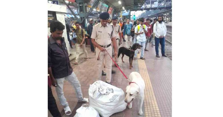 Central Railway : Pune railway police force gets 3 canine heroes - PUNE ...