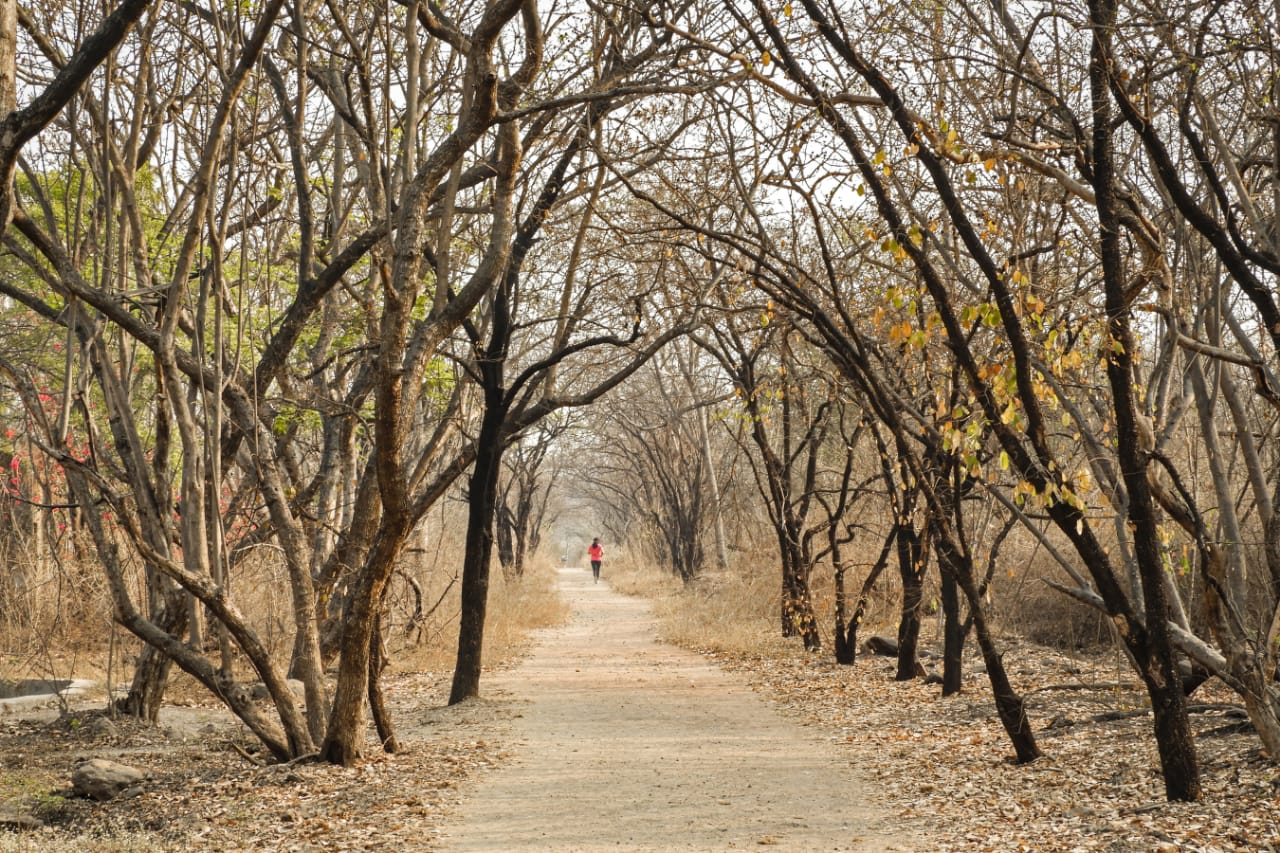 Pune Hosts Vibrant Photo Exhibition to Celebrate World Photography Day ...