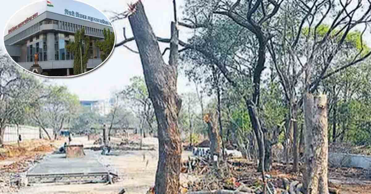 PCMC appoints squad to take action against illegal cutting of trees ...