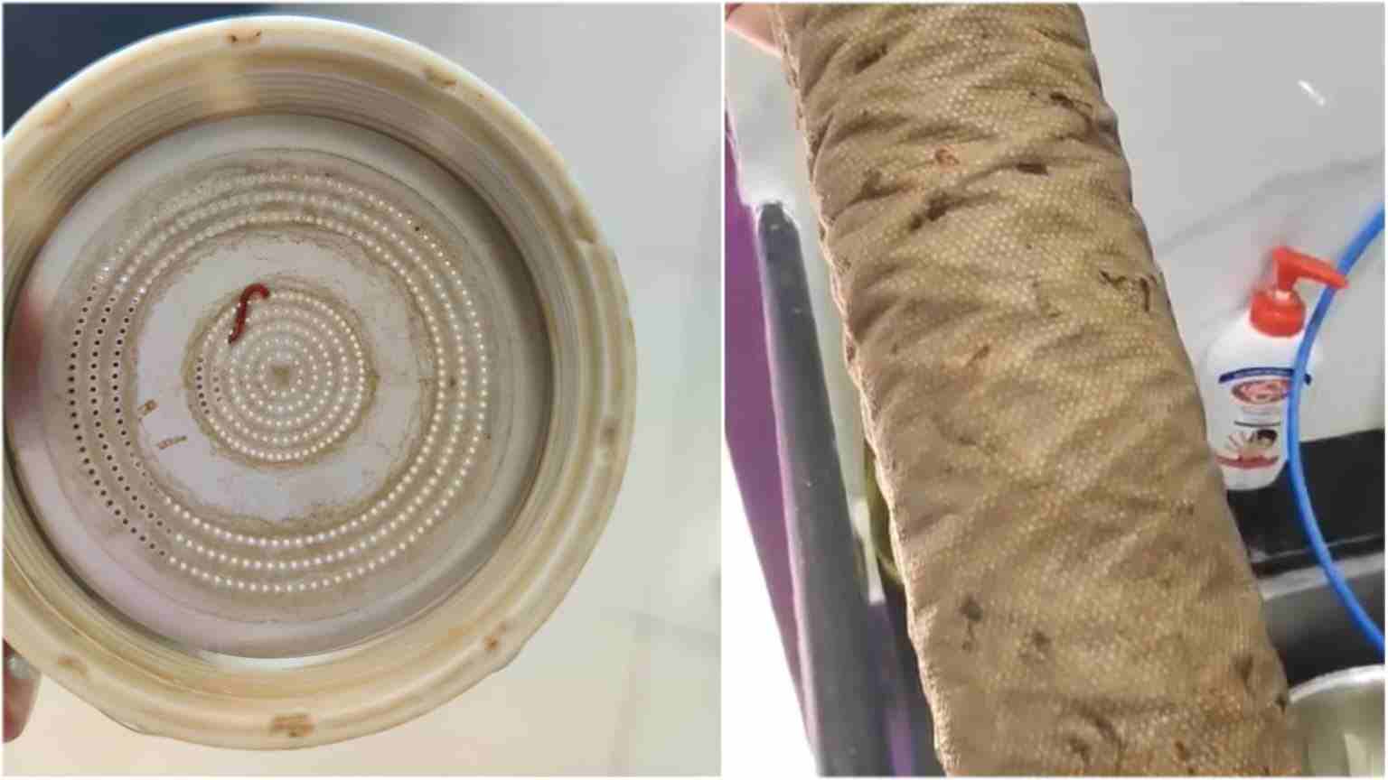 Viral Video From Pune : Bloodworm infestation allegedly in Mula-Mutha ...