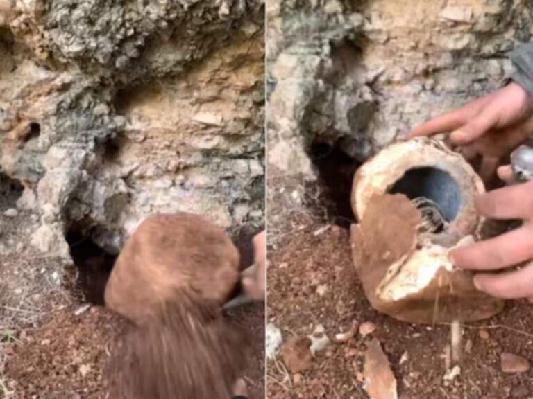Man Unearths Gold Ornaments After Breaking Stone: Viral Video Sparks ...