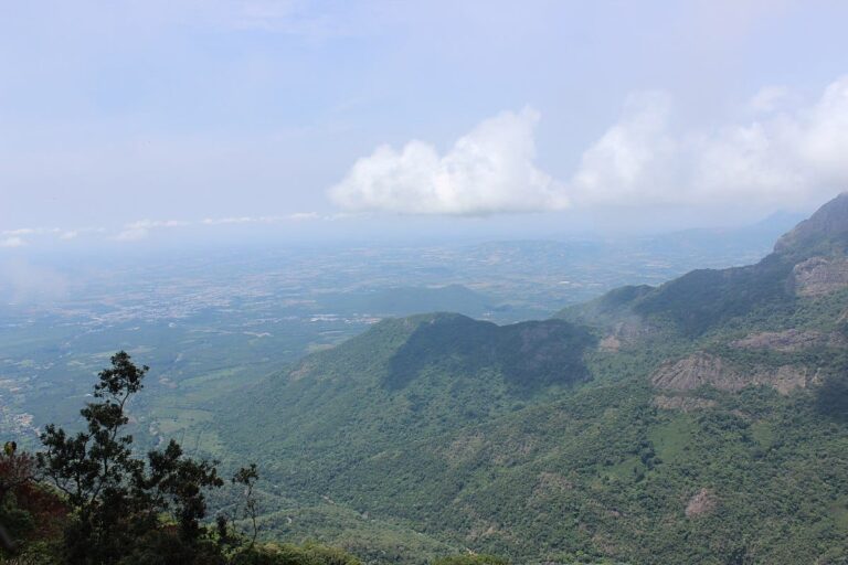 India’s Top 15 Most Beautiful Forests to Explore - PUNE PULSE