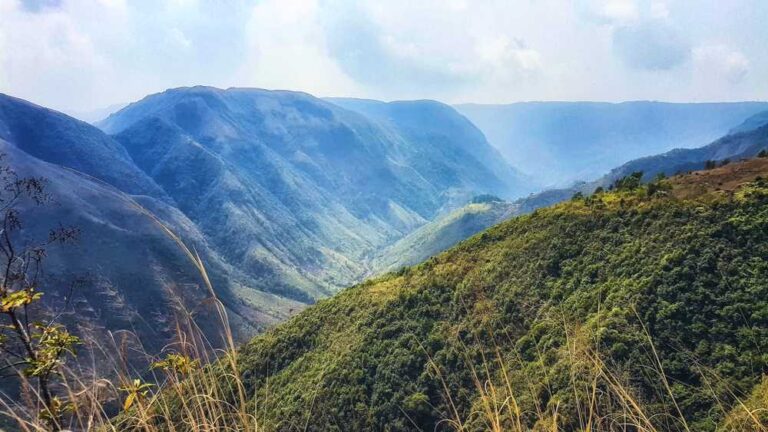 India’s Top 15 Most Beautiful Forests to Explore - PUNE PULSE
