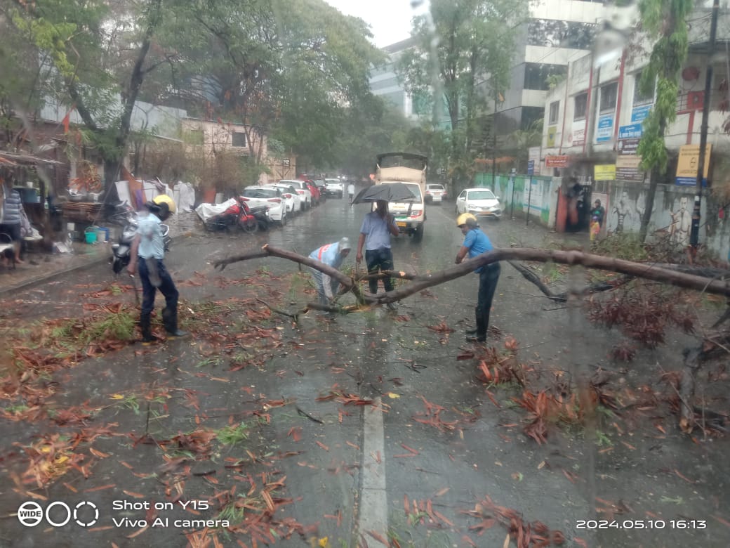 Pune: Heavy rainfall causes trees to fall in 10 locations - PUNE PULSE