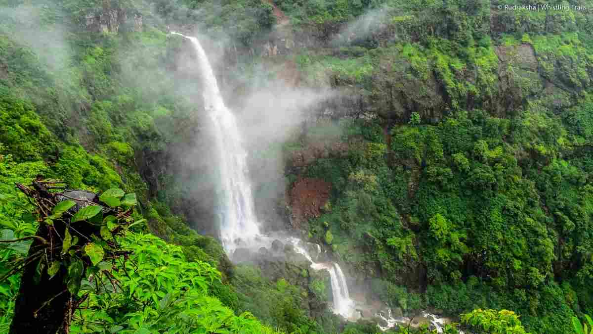 Splash the Heat Away: Scenic Waterfalls To Explore Around Pune - PUNE PULSE