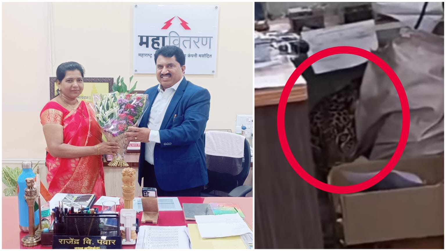 Pune: MSEDCL Honors Shanta Shelke For Heroic Leopard CaptureBy Chief ...