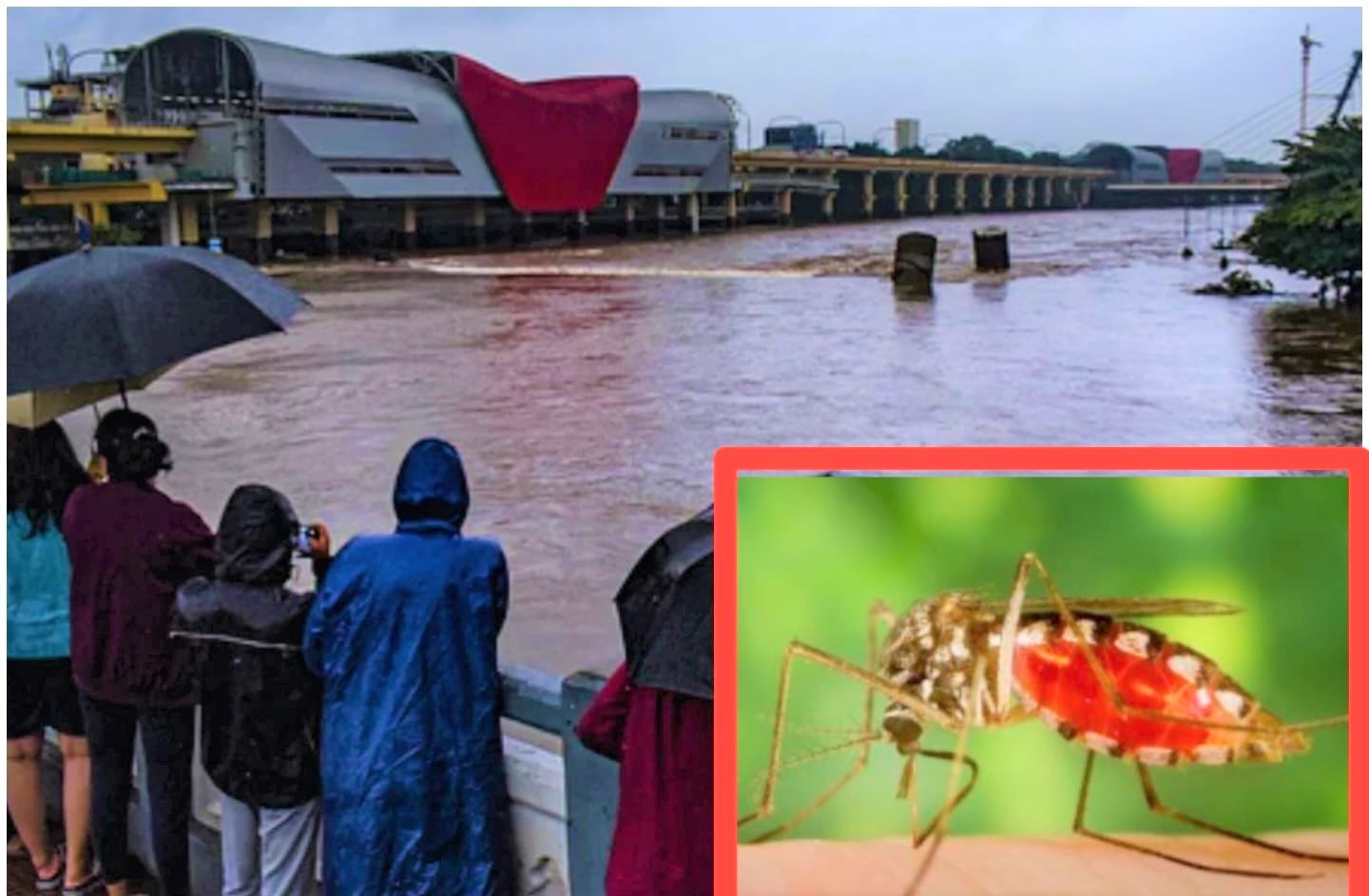 Pune: Health Concerns Raised Due To Constant Flooding In City As Water ...