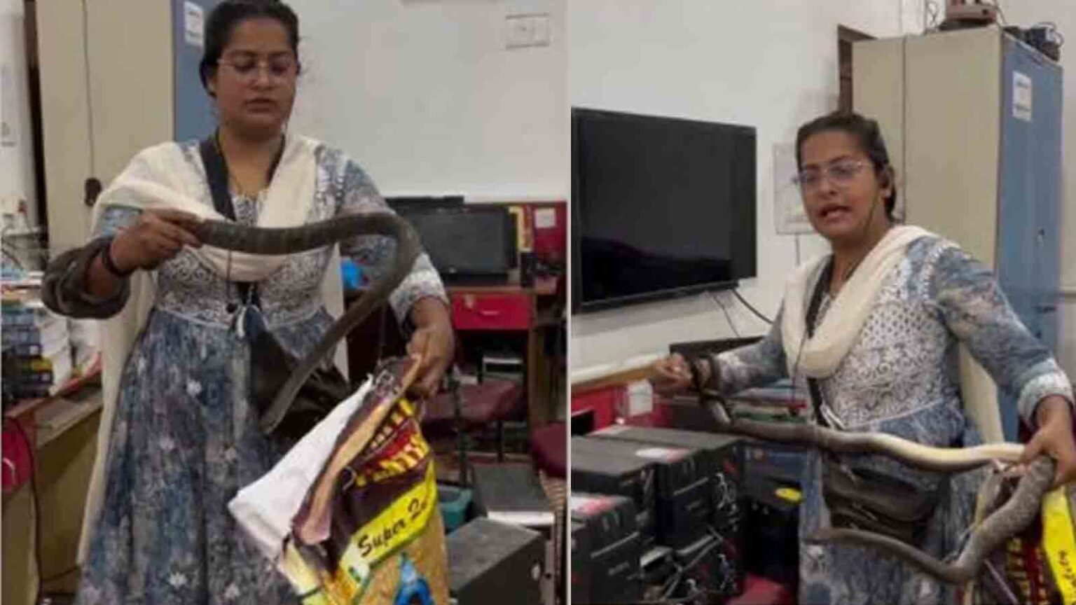 Watch Viral Video: Woman Fearlessly Rescues Snake from Office, Netizens ...