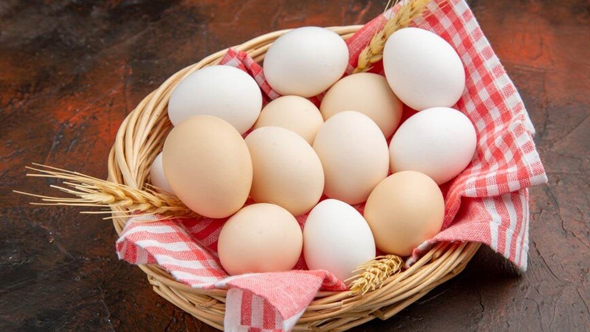 The Power of Whole Eggs: A Nutrient-Rich Choice for Balanced Health ...