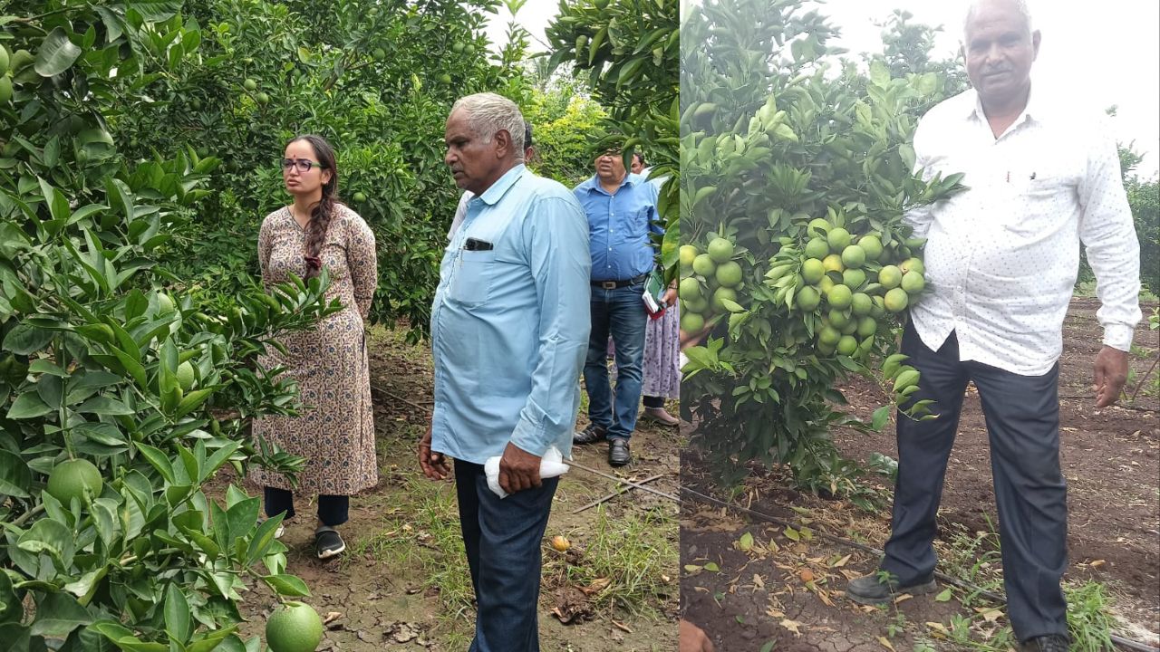 Balram Patidar: The Self-Made Millionaire Farmer Earning Rs. 50 Lakh ...