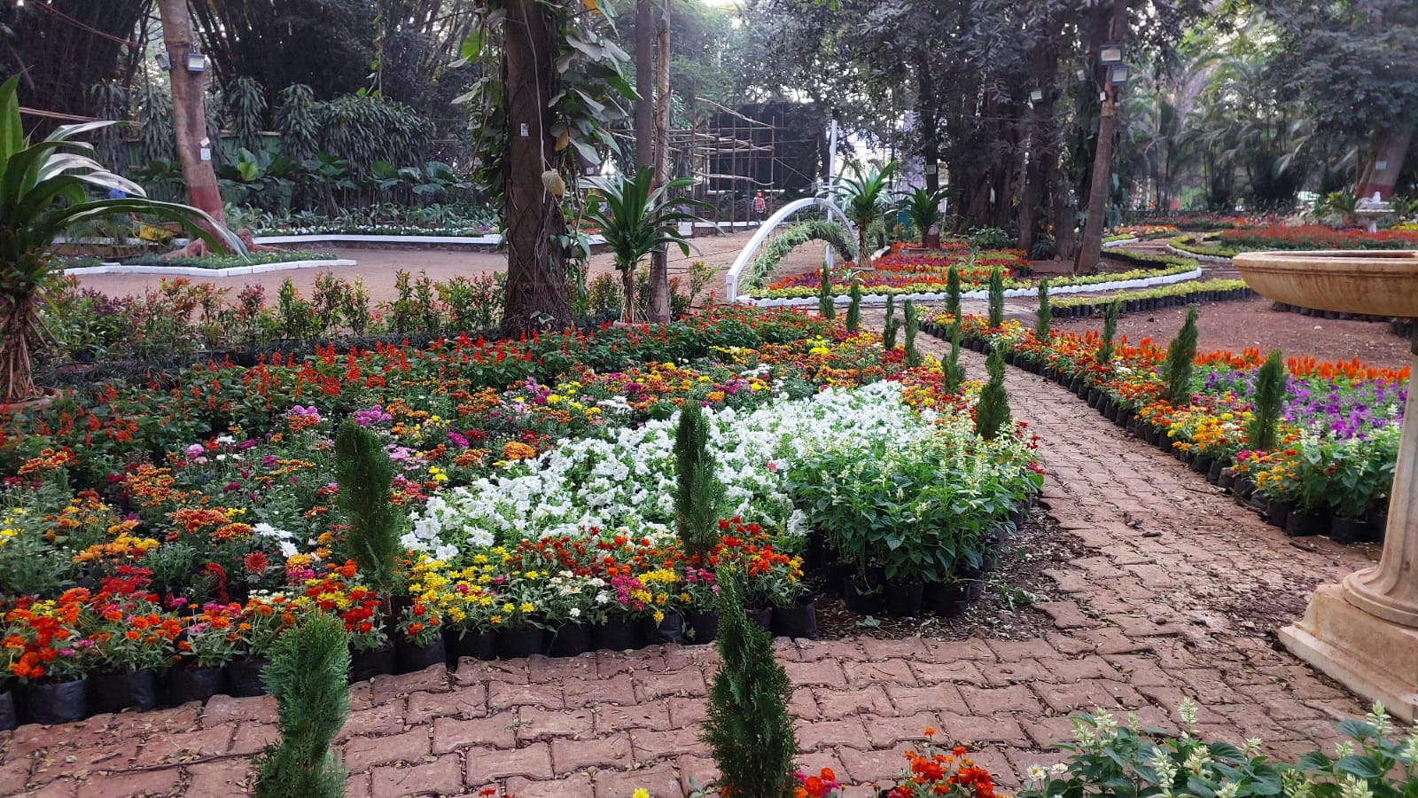 Pune: Empress Botanical Garden Gears Up For Annual Flower Show 2025 ...