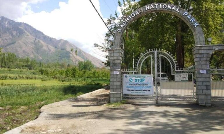 Top 10 Reasons to Visit Dachigam National Park: Kashmir’s Hidden Gem ...