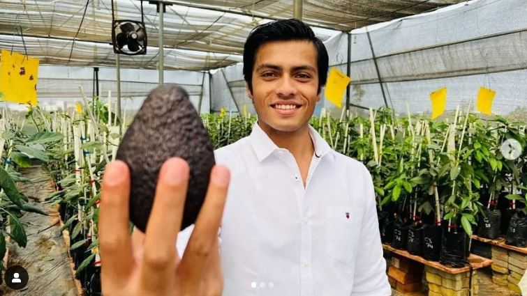 22-Year-Old Harshit Godha’s Success Story: Builds ₹1 Crore Avocado ...