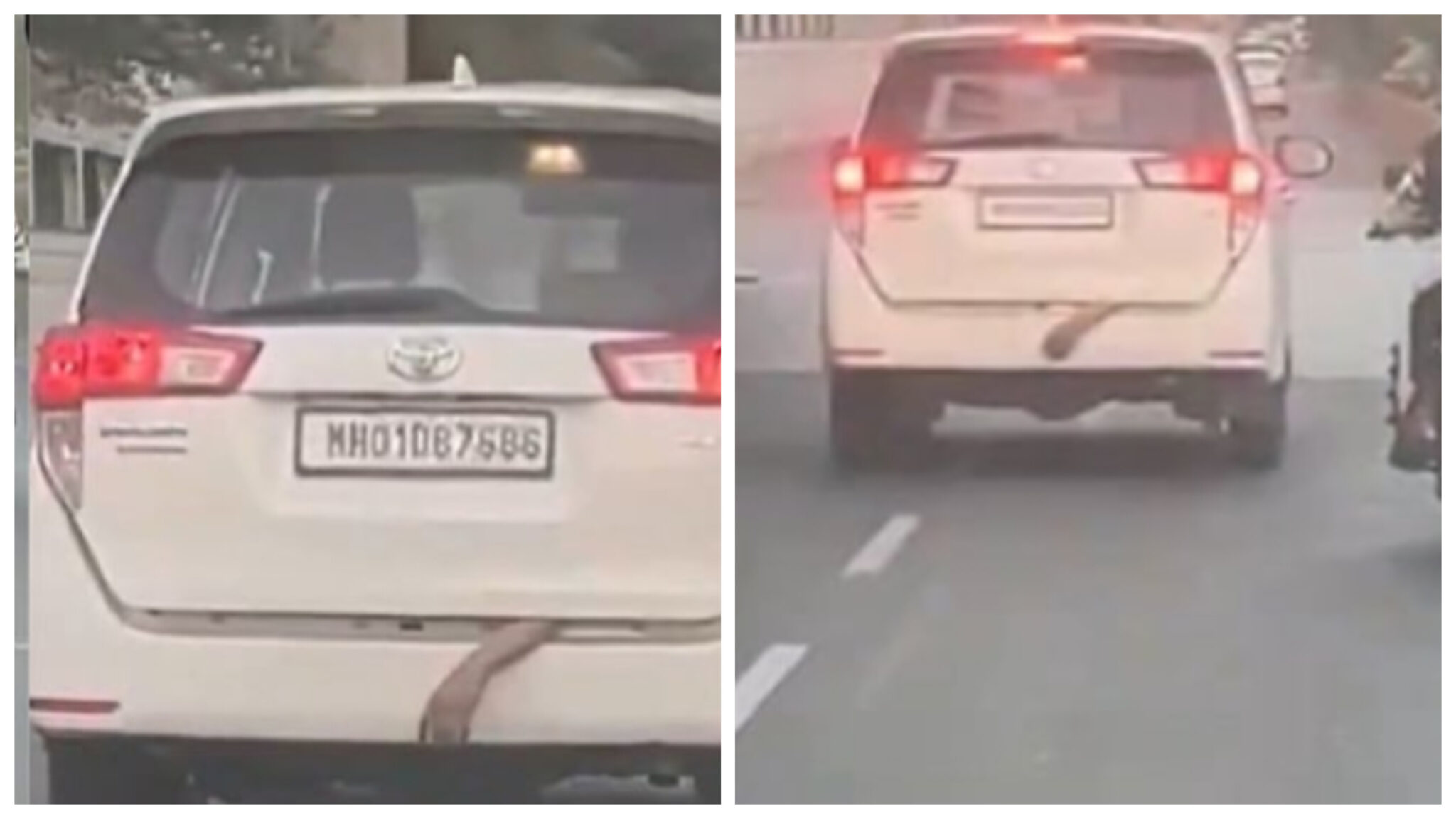 Navi Mumbai: Hand Seen Hanging from Car Boot – Truth Behind the Viral ...