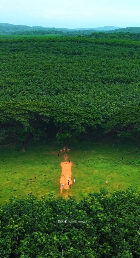 Watch Kerala’s Hidden Cricket Gem: A Forest Field That Looks Like the ...