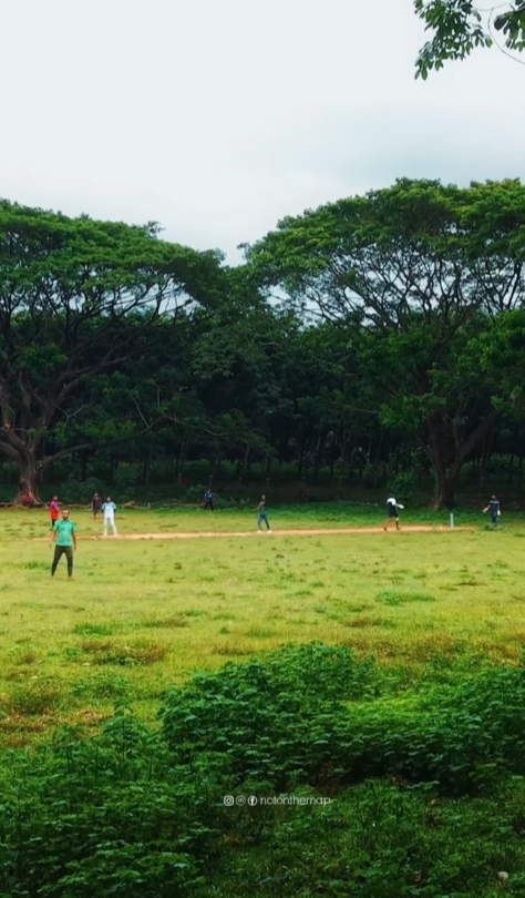 Watch Kerala’s Hidden Cricket Gem: A Forest Field That Looks Like the ...