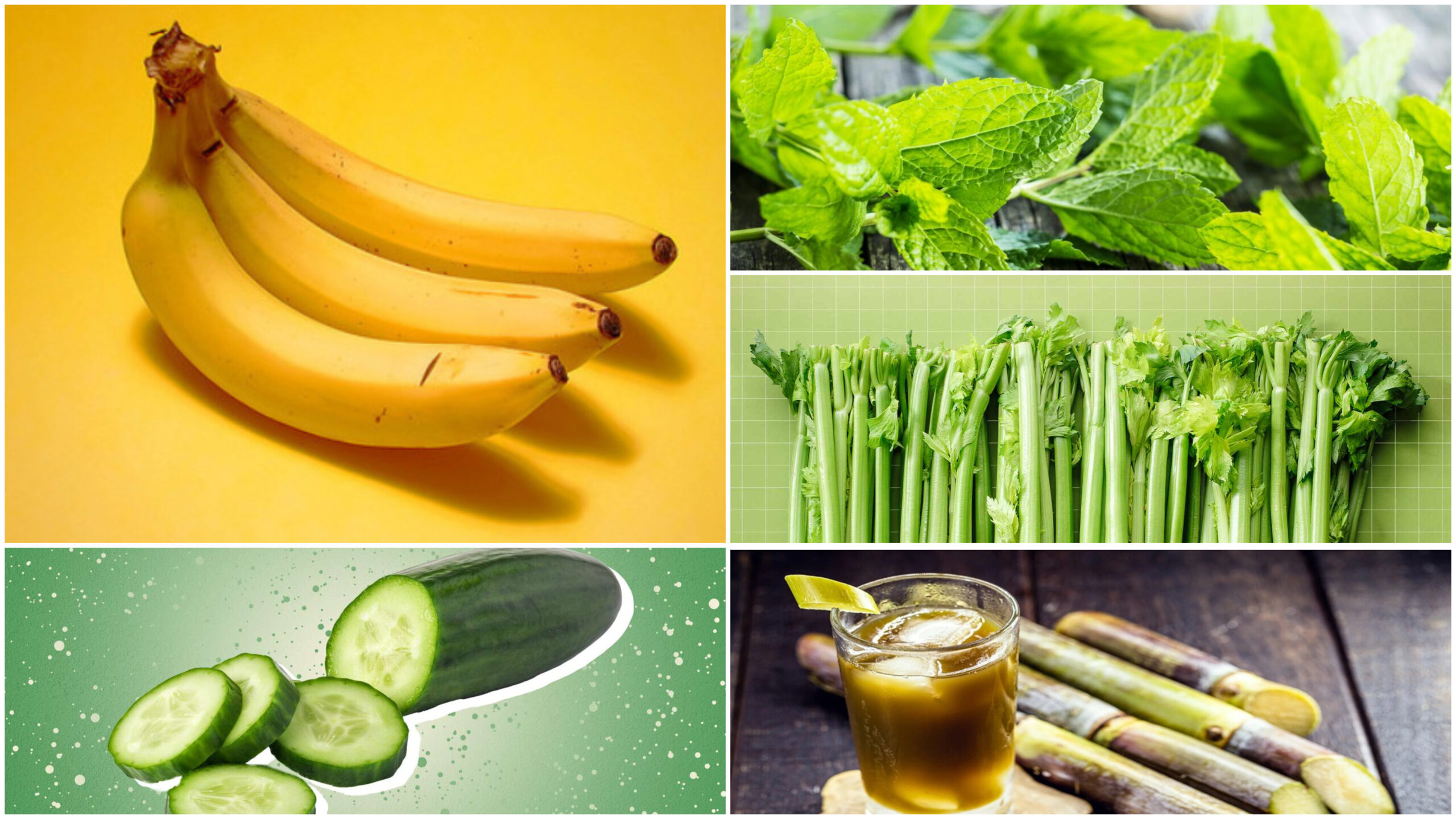 Top Cooling Foods to Naturally Lower Body Temperature and Beat the Heat ...