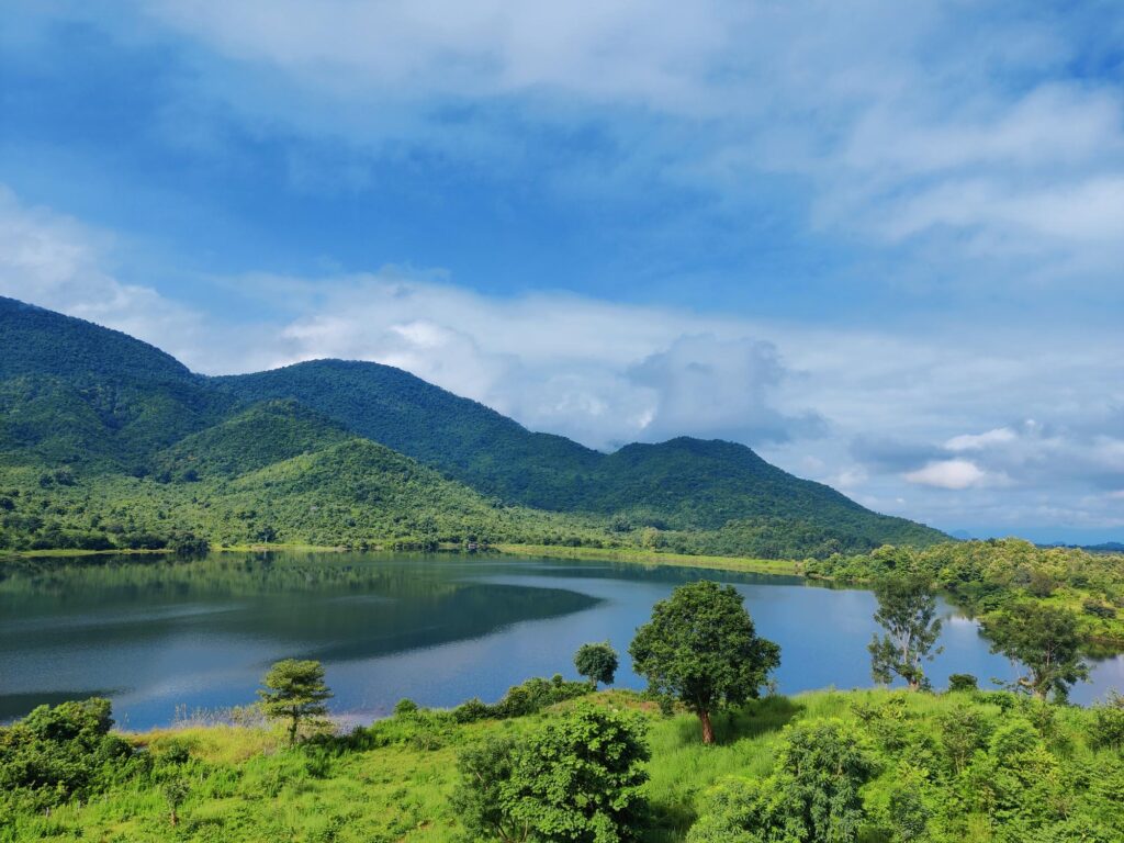 India’s Green Giants: Top 10 States with the Most Forest Cover - PUNE PULSE