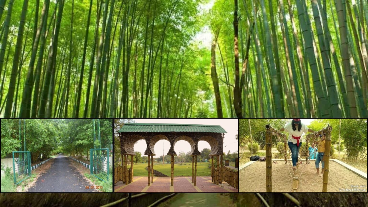 Maharashtra Eco-tourism: India’s First Bamboo Garden Blossoms in ...