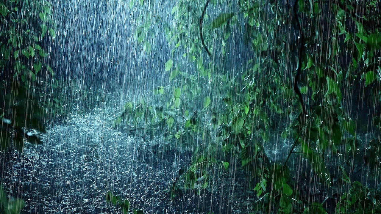 Lonavala Sees Highest Rainfall in Pune District; Light Rains Likely in ...