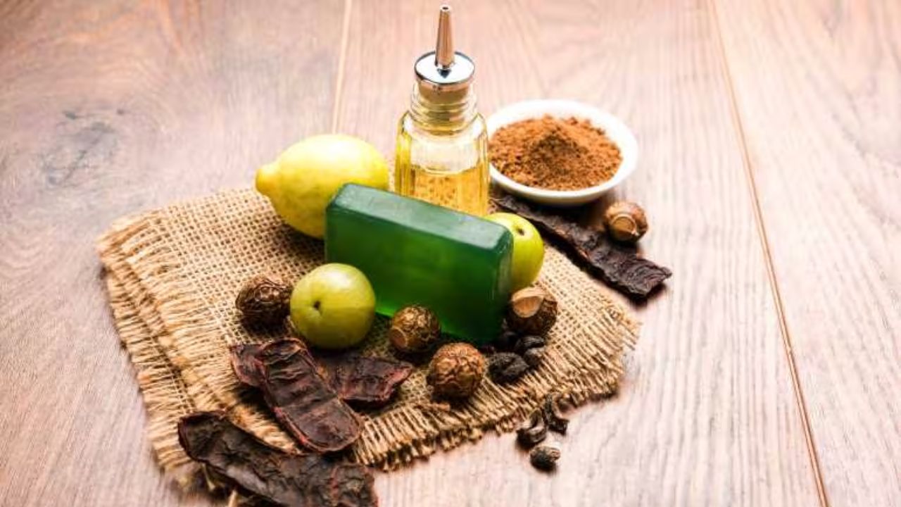 Amla, Aritha or Shikakai – Which Desi Herb Is the Real Game-Changer for ...