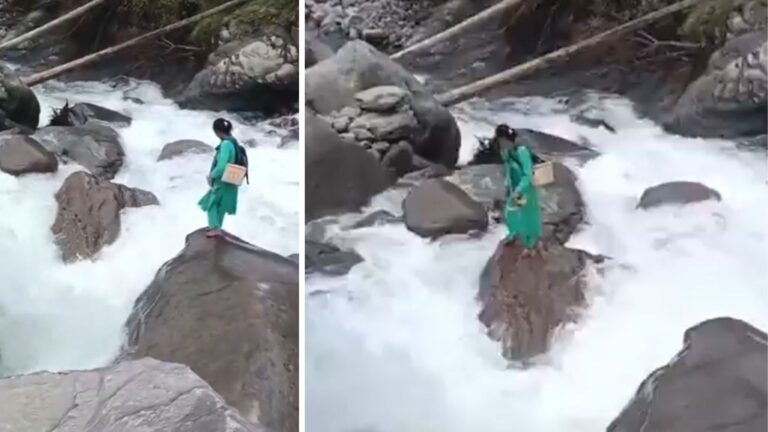 Nurse in Himachal Risks Life Crossing Raging River to Vaccinate Newborn ...