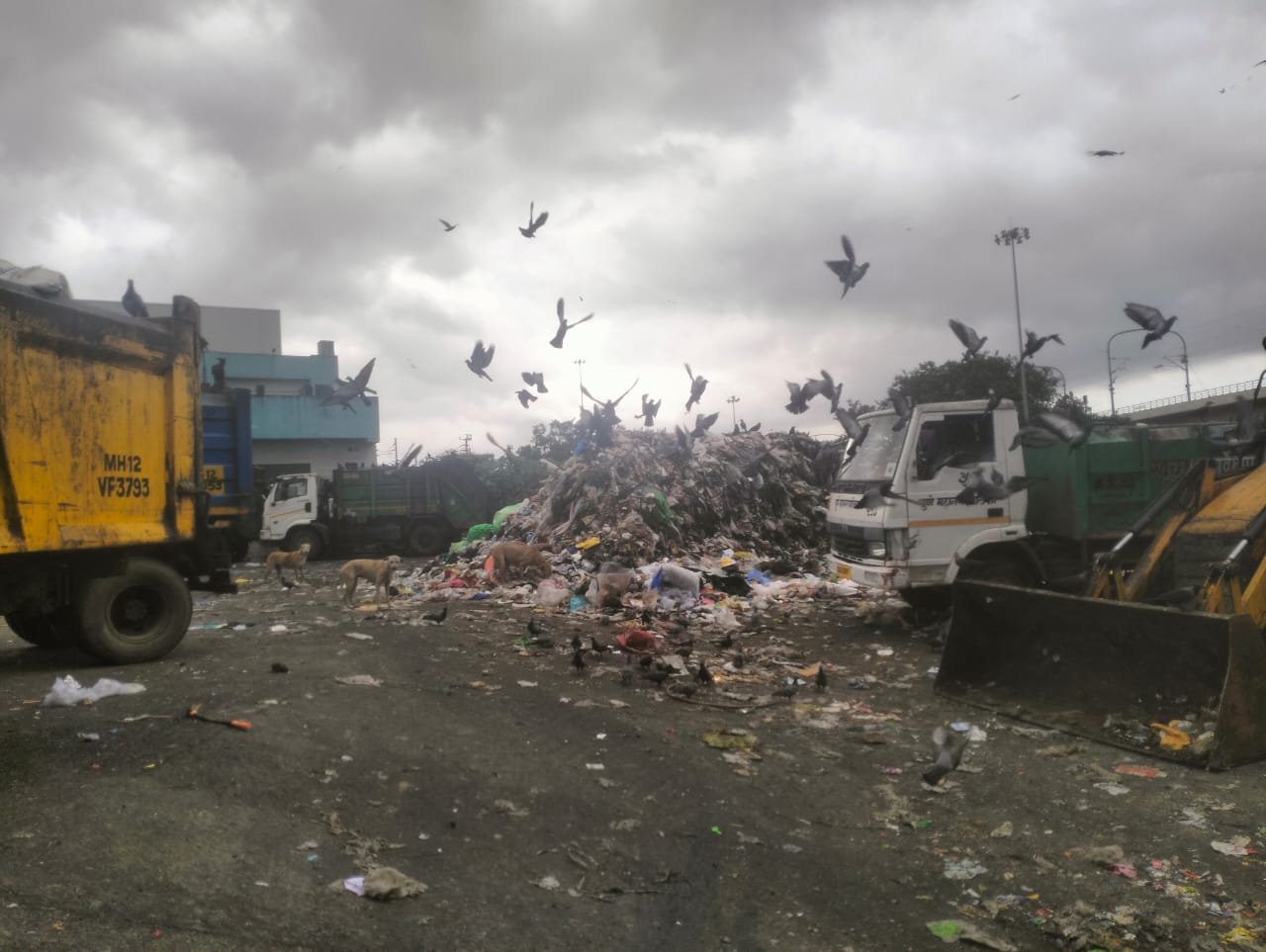 Pune: Kothrud Garbage Depot In Poor State; Residents Complain Of Health ...