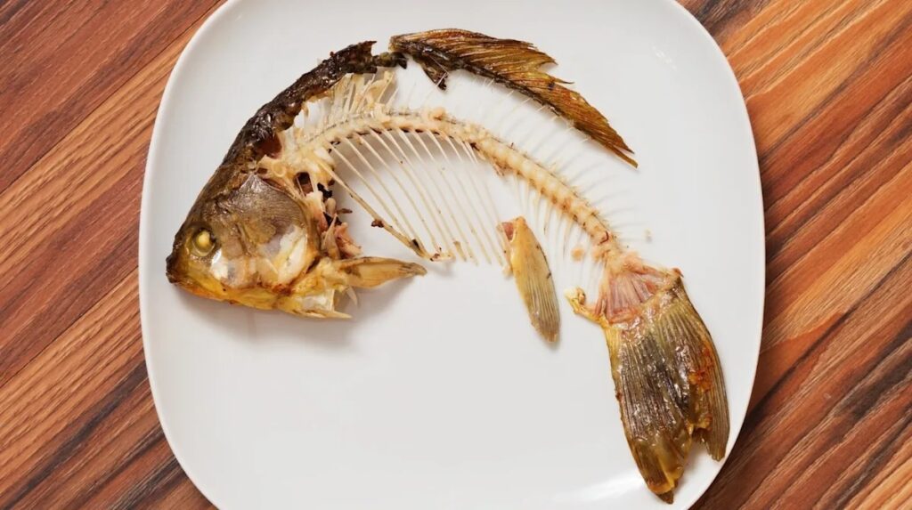 Swallowed a Fish Bone? Here are the Risks, First-aid and When to Seek ...