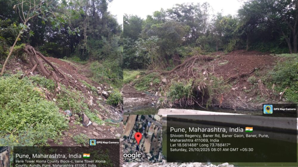 Pune: Illegal Tree Felling Reported Along Mula River In Pimpale Nilakh ...