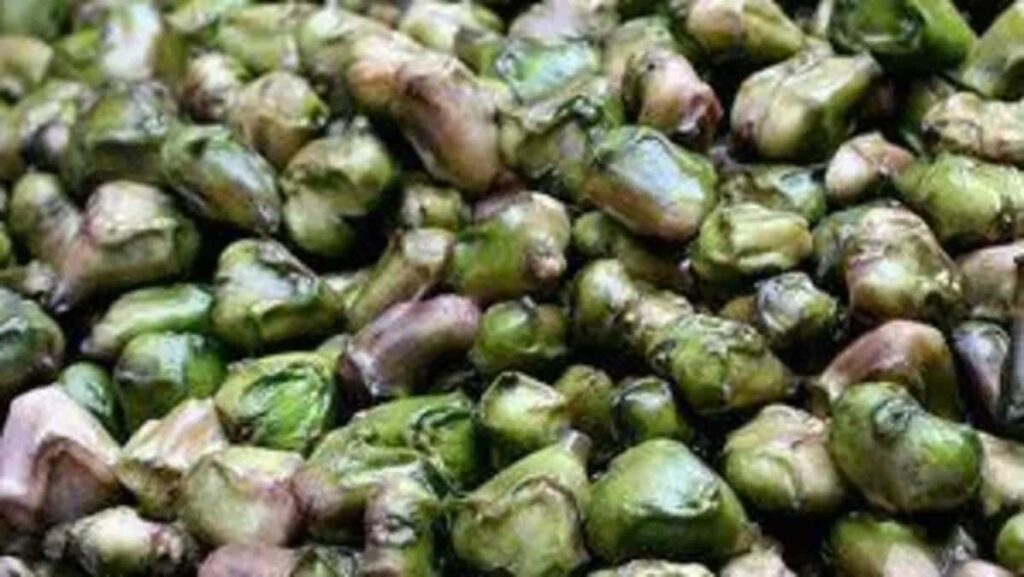 Benefits Of Eating Singhara In Winter: The Superpower Fruit That Boosts ...