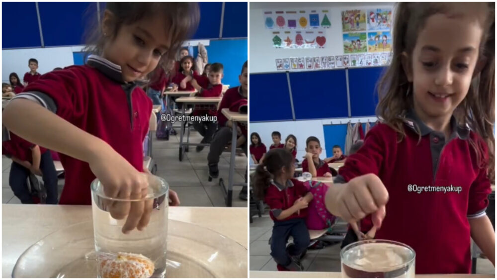 Viral Classroom Experiment: ‘Orange in Water’ Challenge Amazes Students ...