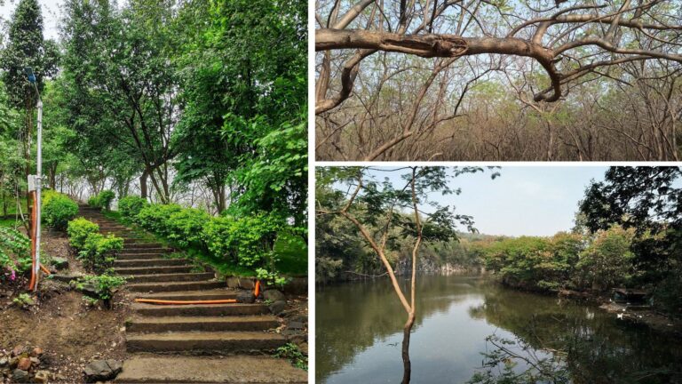 Scenic Hill Walks in Pune You Can’t Miss This Season - PUNE PULSE