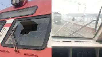Viral Video: Eagle Hits Moving Train, Breaks Window and Injures Driver ...