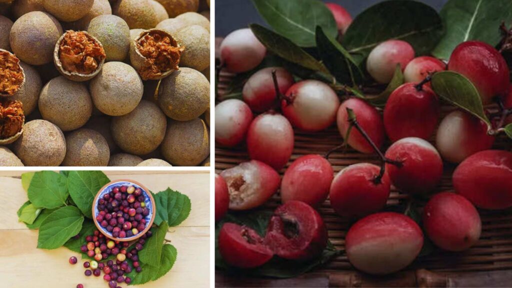 Five Forgotten Indian Fruits Worth Rediscovering on Your Next Market ...