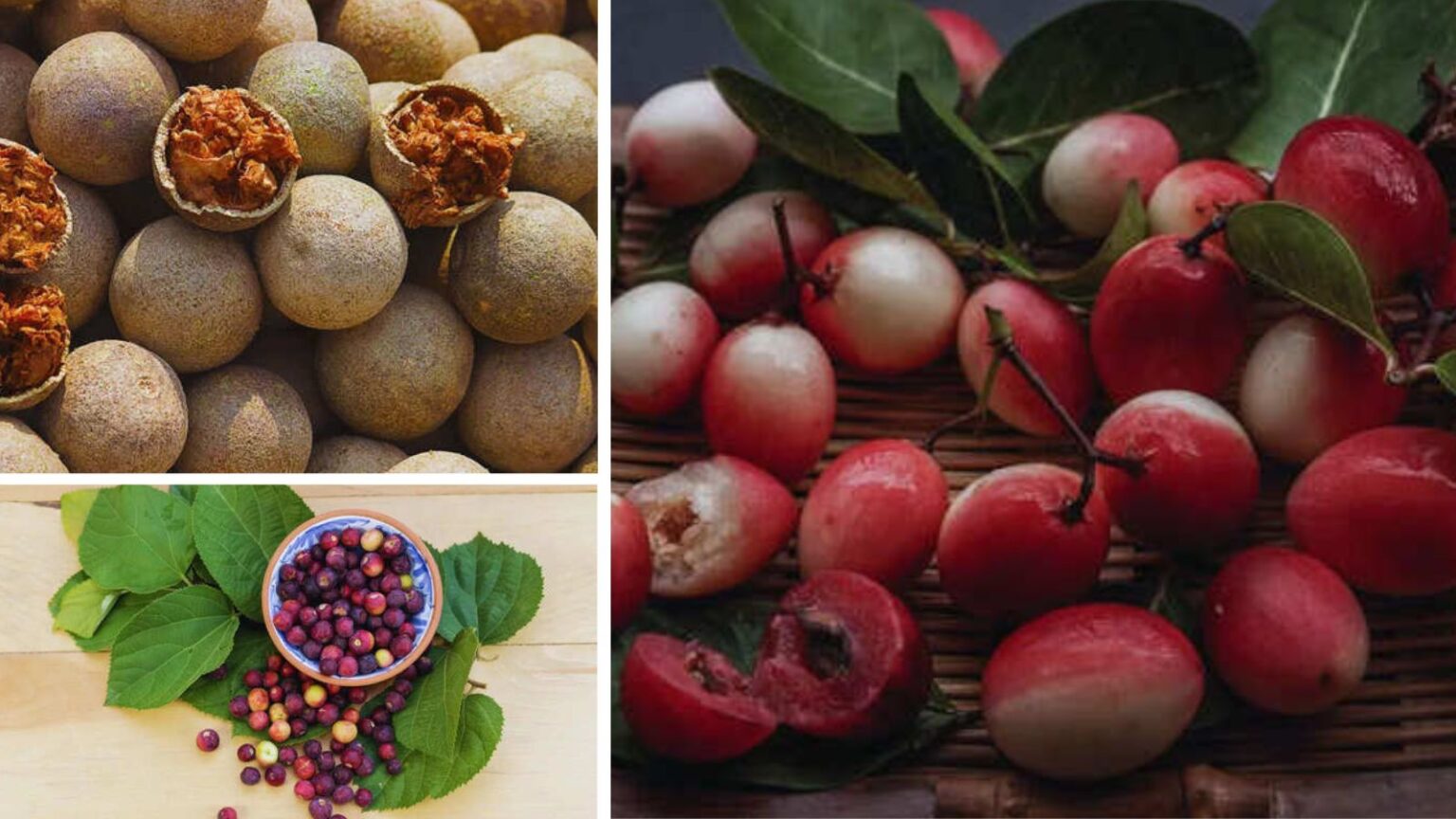 Five Forgotten Indian Fruits Worth Rediscovering on Your Next Market ...