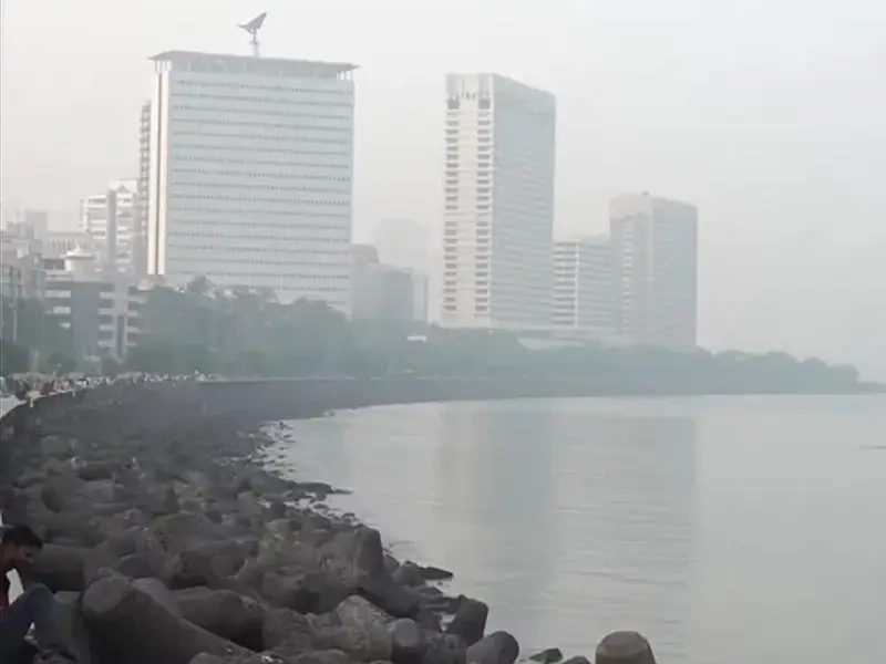 HC Rejects Maharashtra’s Claim Linking Mumbai’s Pollution To Ethiopian ...