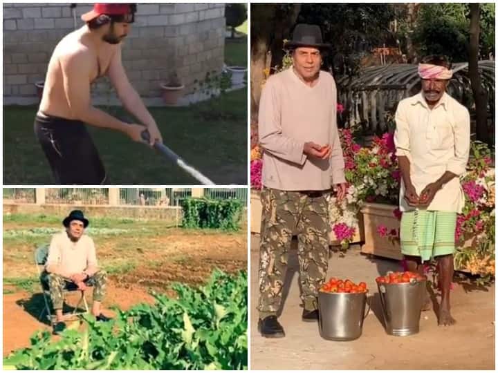 Glimpse of Dharmendra’s 100-Acre Lonavala Farmhouse, Where He Spends ...