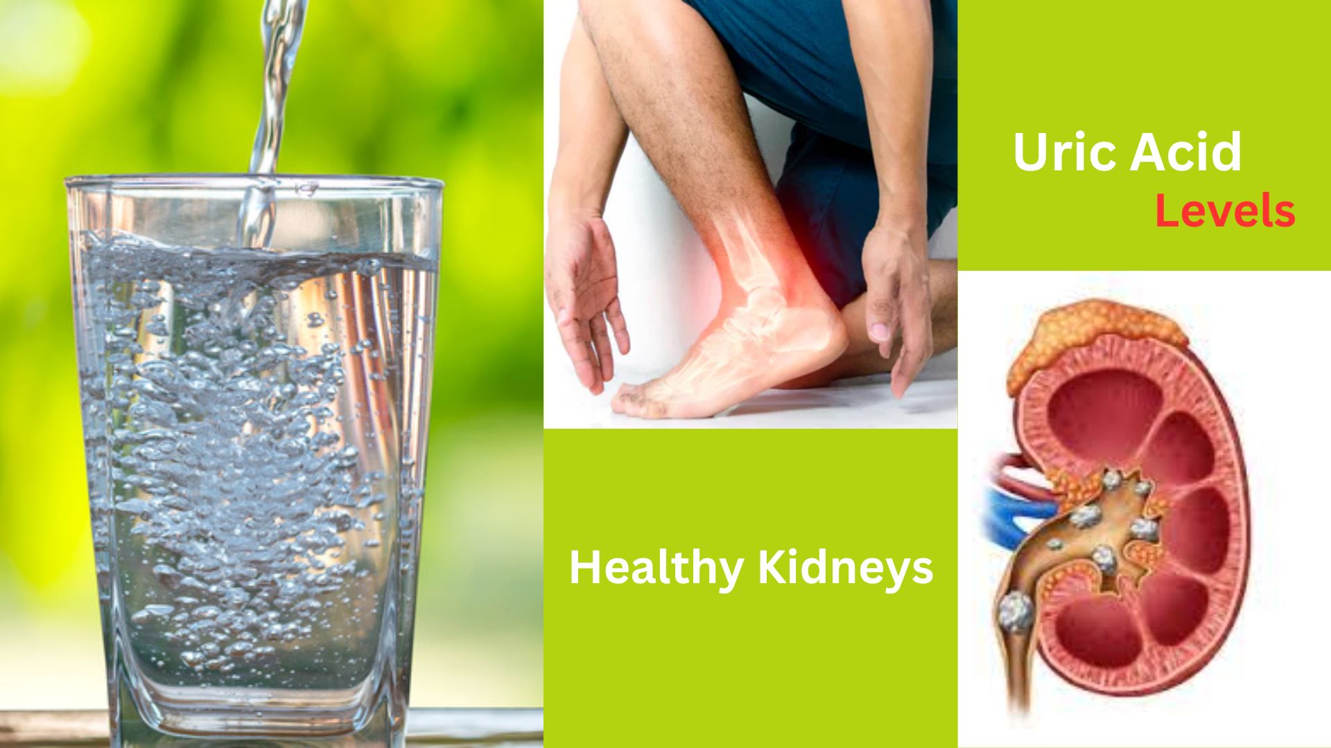 How Much Water Is Enough for Healthy Kidneys and Balanced Uric Acid ...