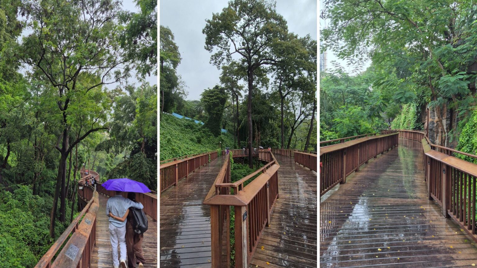 Malabar Hill Nature Trail Emerges as Mumbai’s Top Monsoon Destination ...