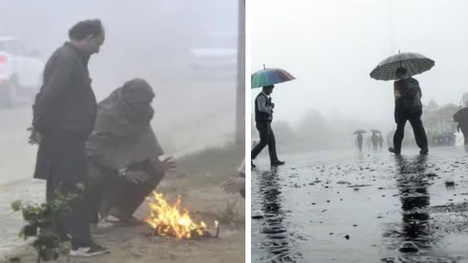 Mixed Weather Across Maharashtra on Monday: Light Rain Likely in Konkan ...