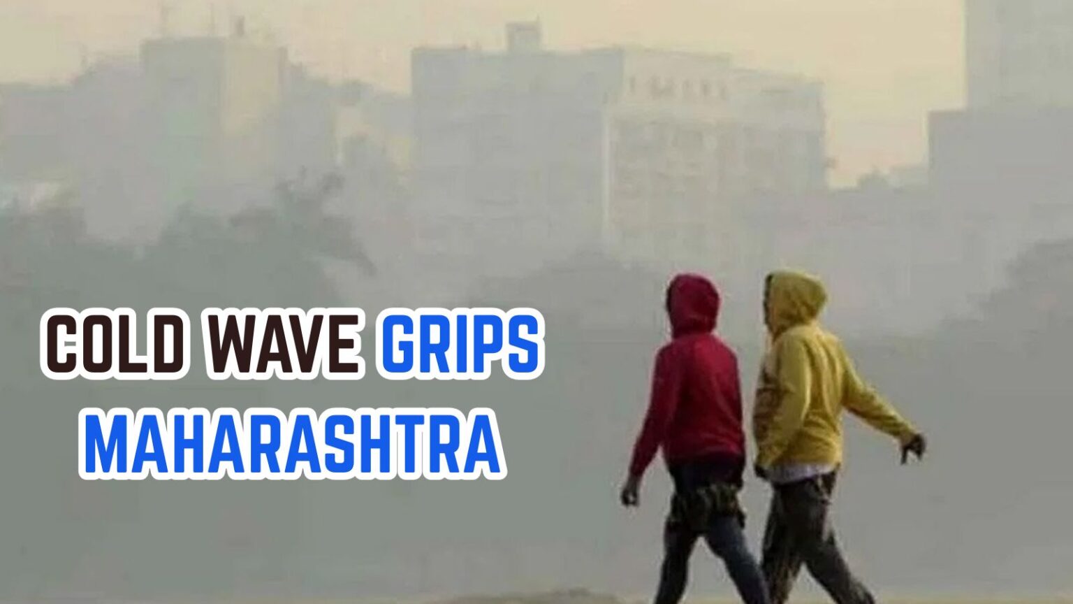 Cold Wave Grips Maharashtra: IMD Issues Alert For 13 Districts For ...