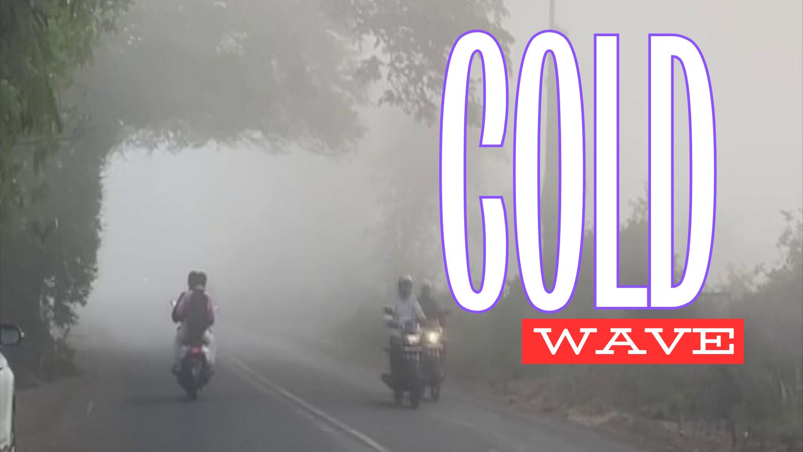 Weather Alert for Maharashtra For December 18: Cold Wave-Like ...