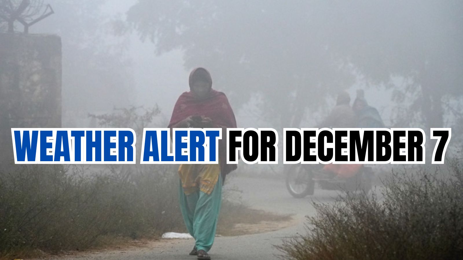 Weather Alert For December 7: Severe Cold Wave to Grip Maharashtra, IMD ...
