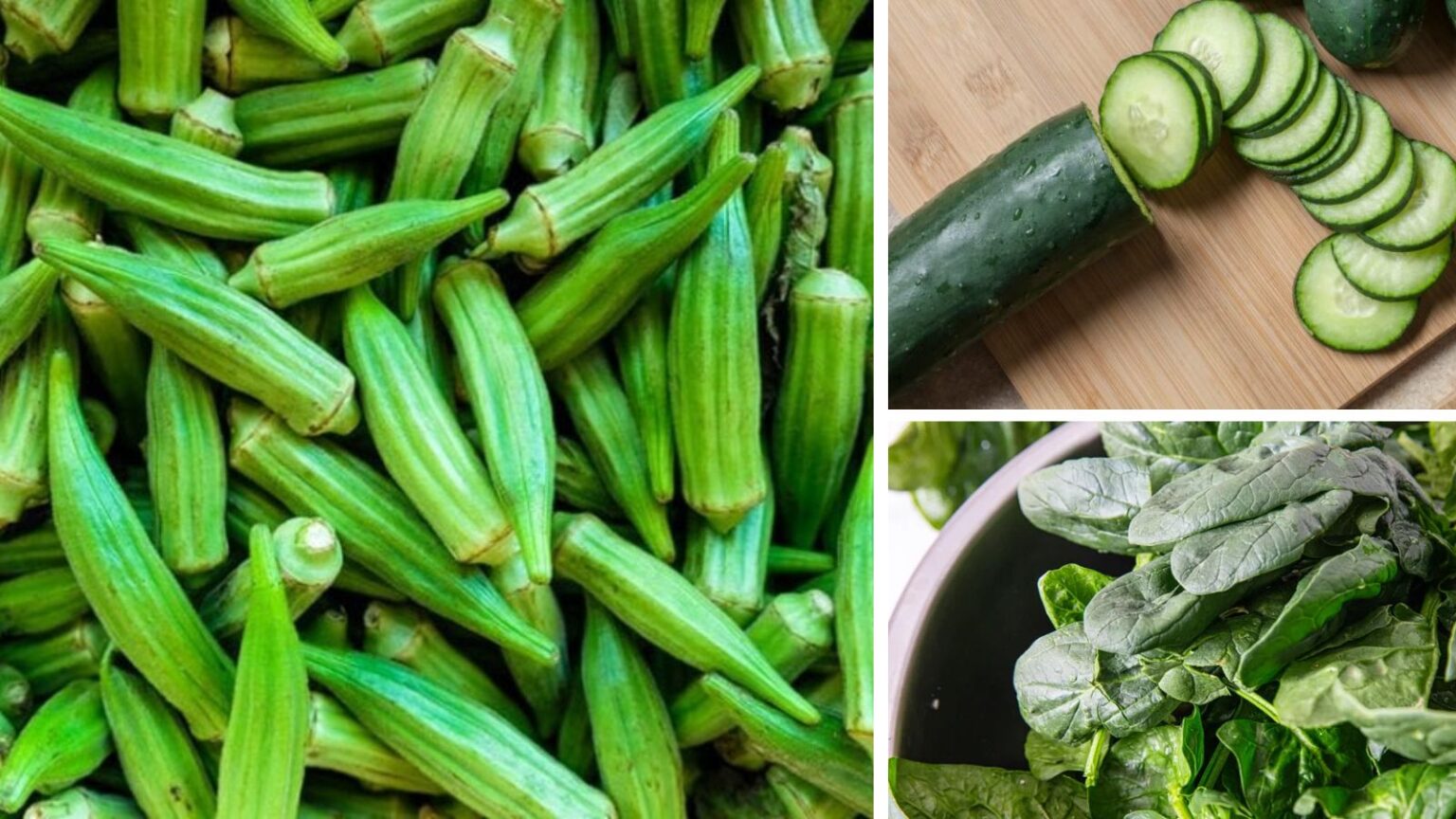 7 Vegetables to Grow in March for a Healthy and Productive Home Garden ...