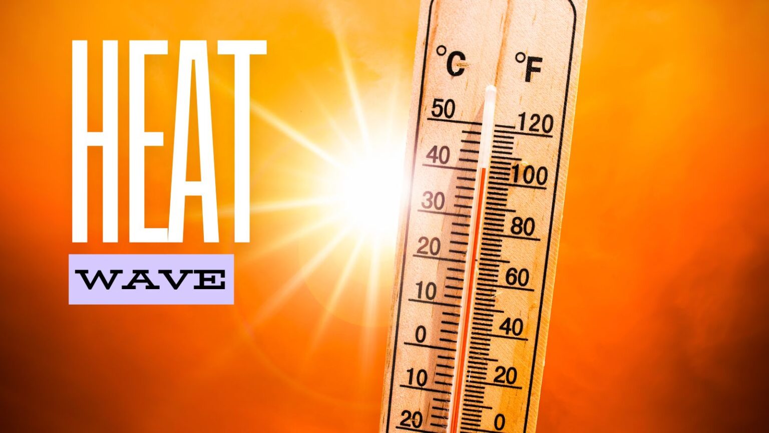 Weather Alert For February 21: Next 24 Hours Critical as Heatwave ...