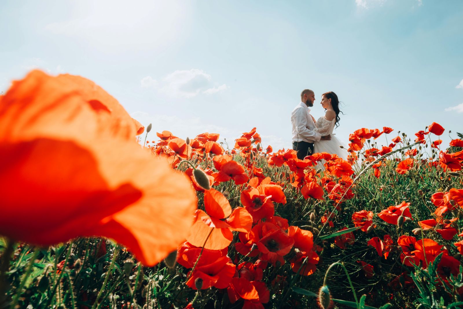 Top 15 Gemini Romantic Couple Flower Field Photo Prompts in 4K HD With ...
