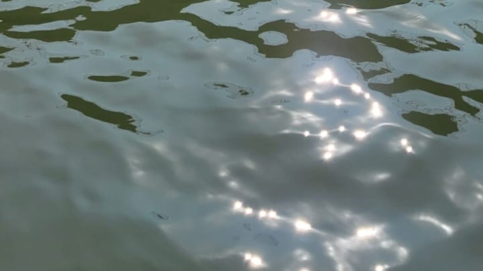 Ash Immersion Ritual Uncovers Severe Pollution In Neera River And Veer ...