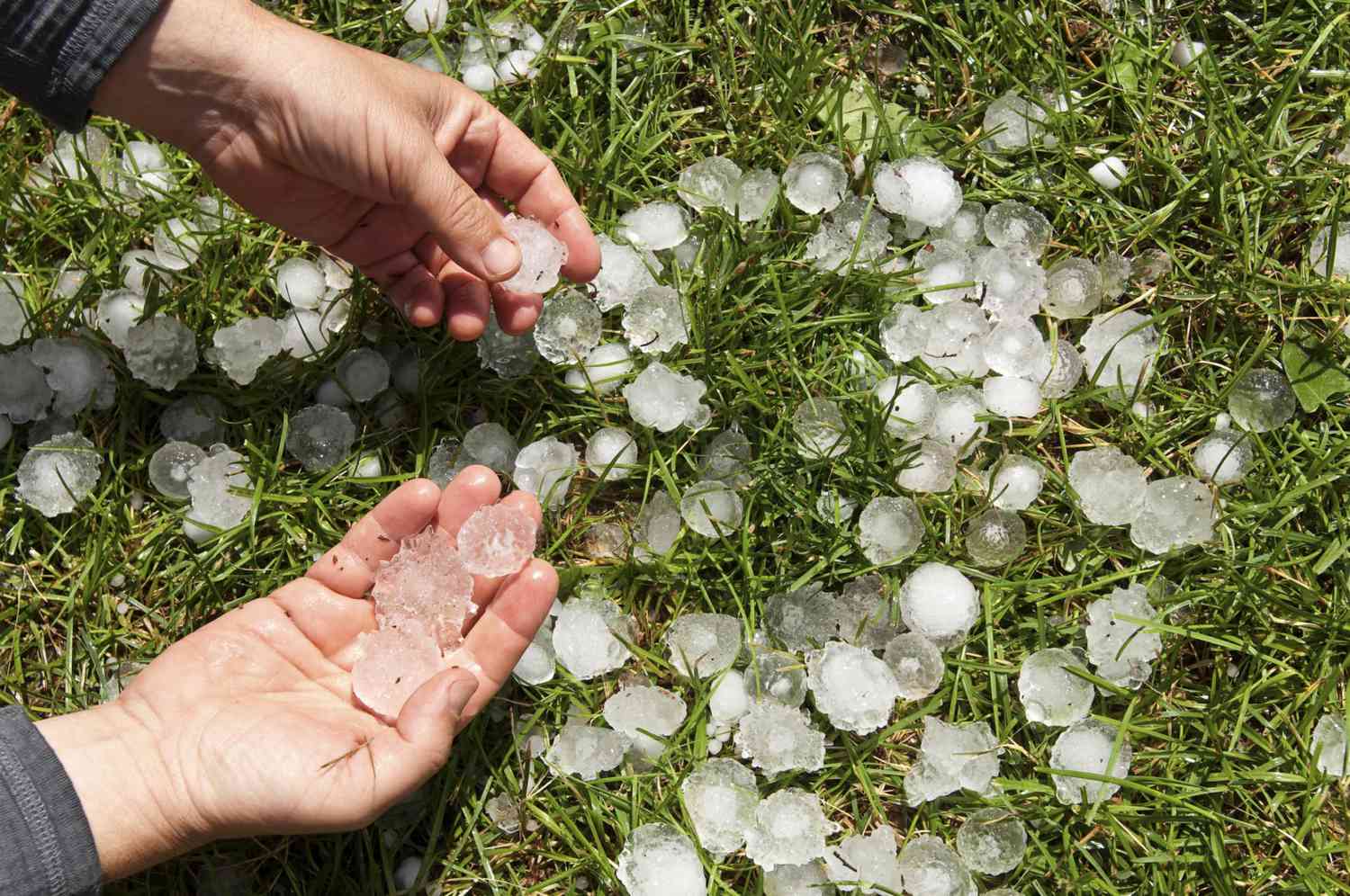 Eating Hailstones: Is It Safe Or Harmful? What Happens To Your Body ...