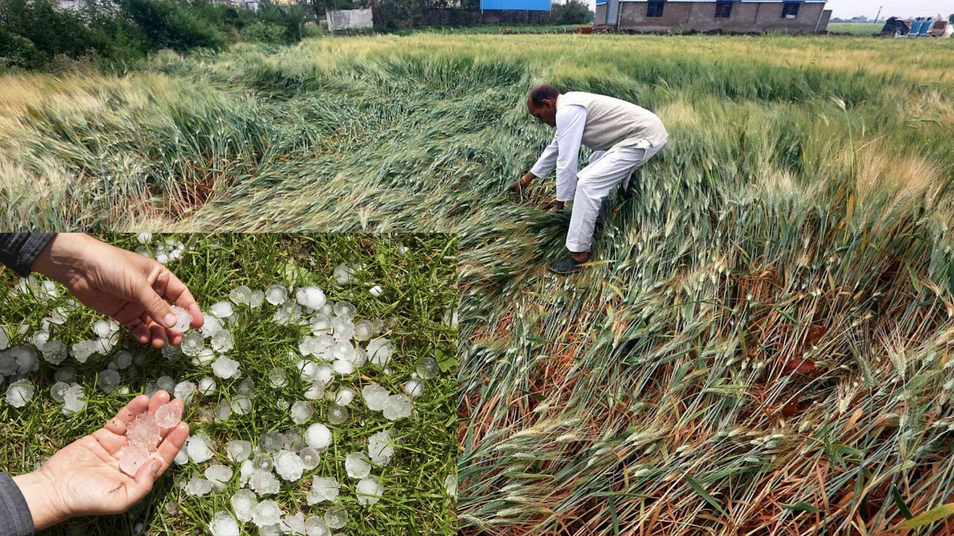 Maharashtra Weather Alert: Heavy Rain, Hailstorms And Strong Winds ...