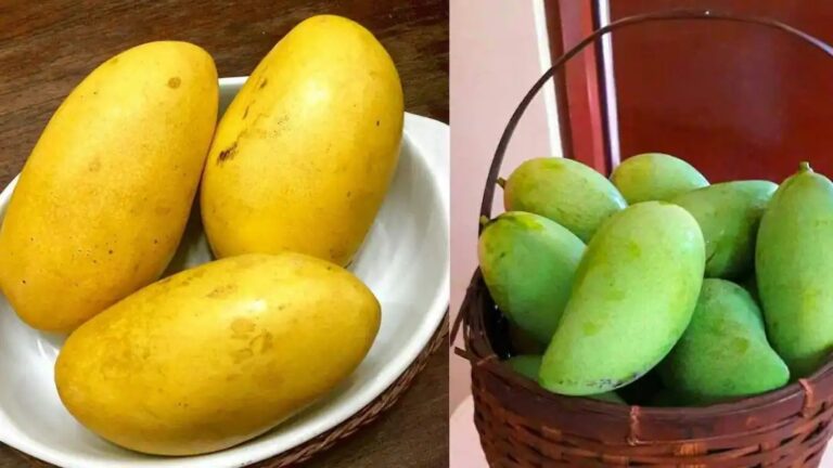 Forget Alphonso! The World’s Sweetest Mango Comes From This Unexpected ...